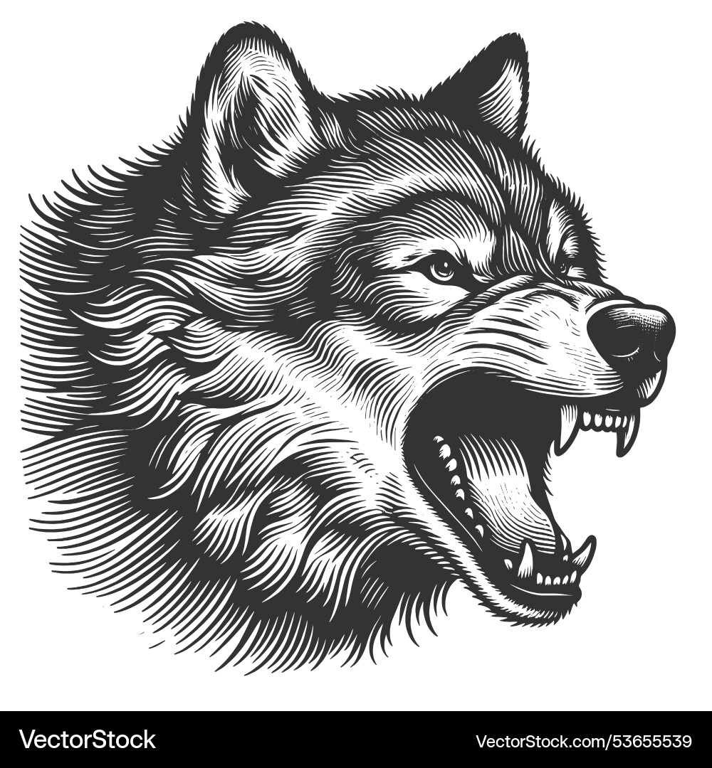 Fierce howling wolf head tattoo engraving Vector Image