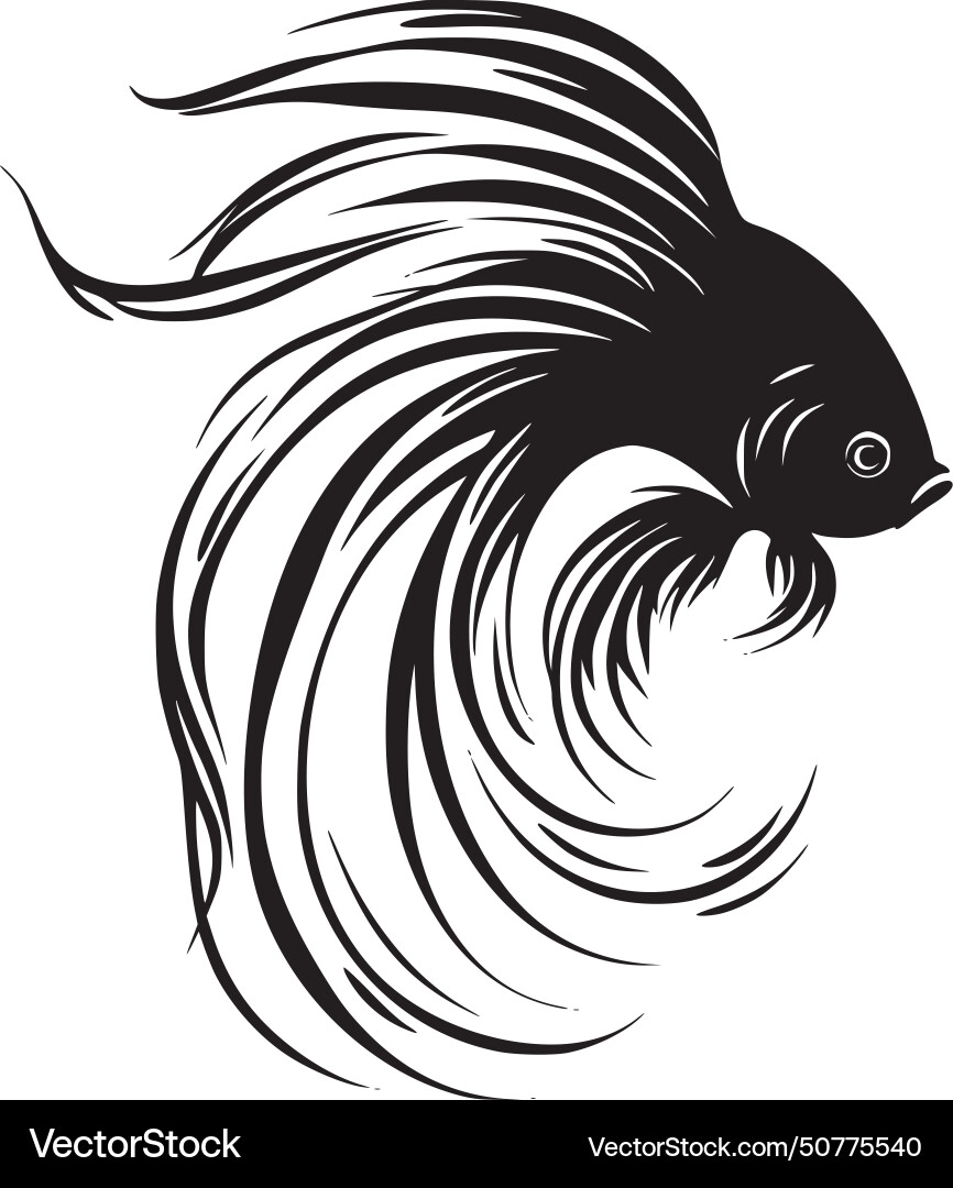 Betta fish - black and white isolated icon Vector Image