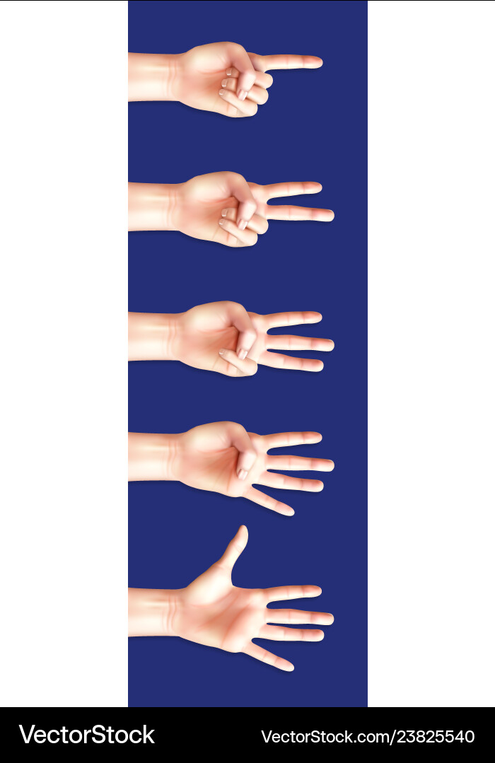 Hand Counting Gestures - Numbers 1 to 5 Royalty Free Vector