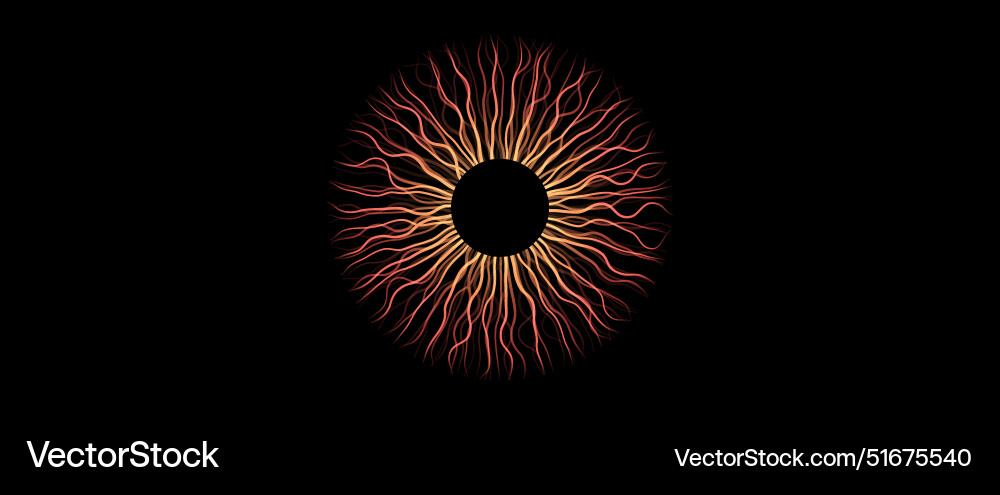 Human iris poster Royalty Free Vector Image - VectorStock