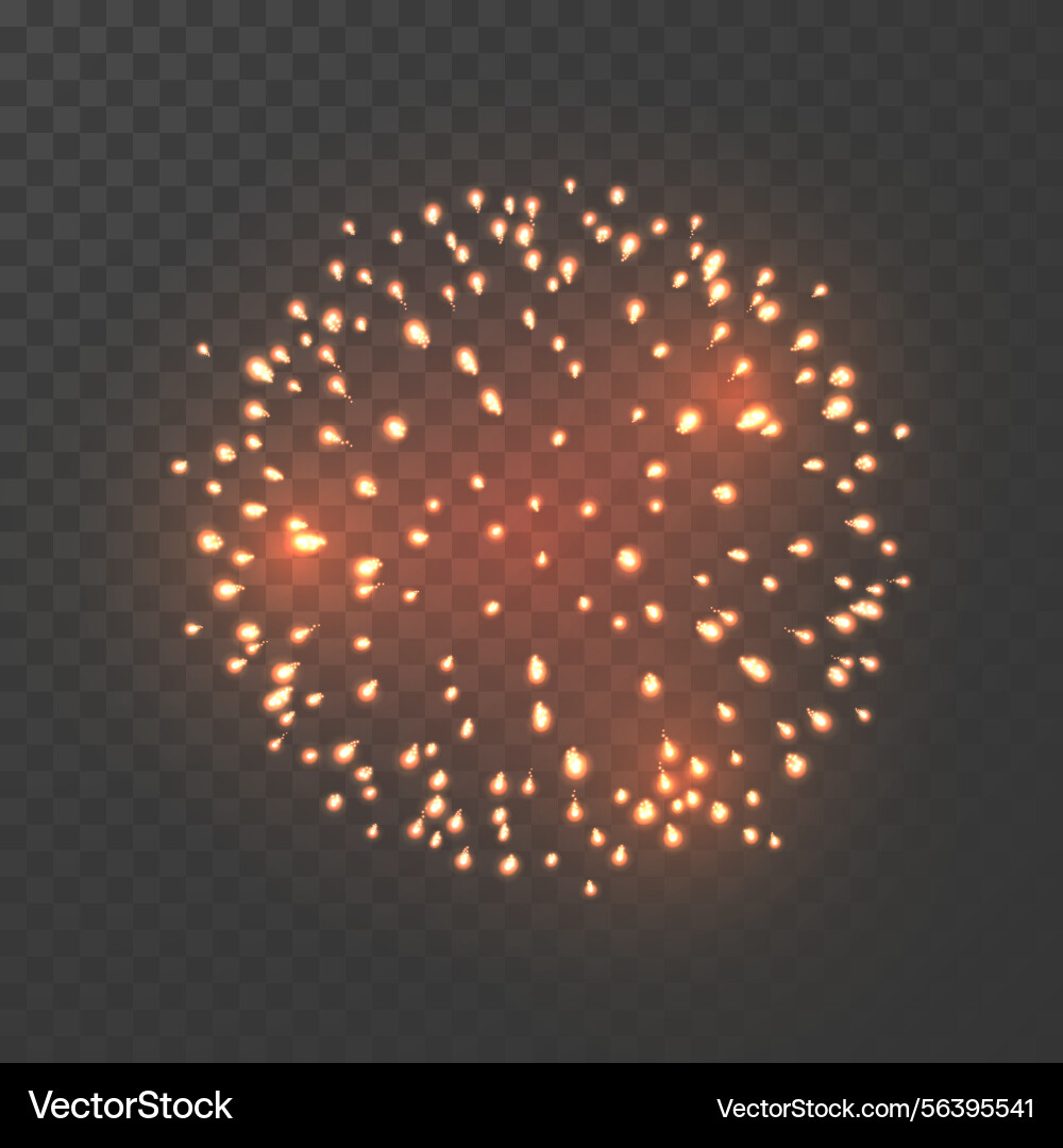 Firework explosion bright sparkle on transparent Vector Image