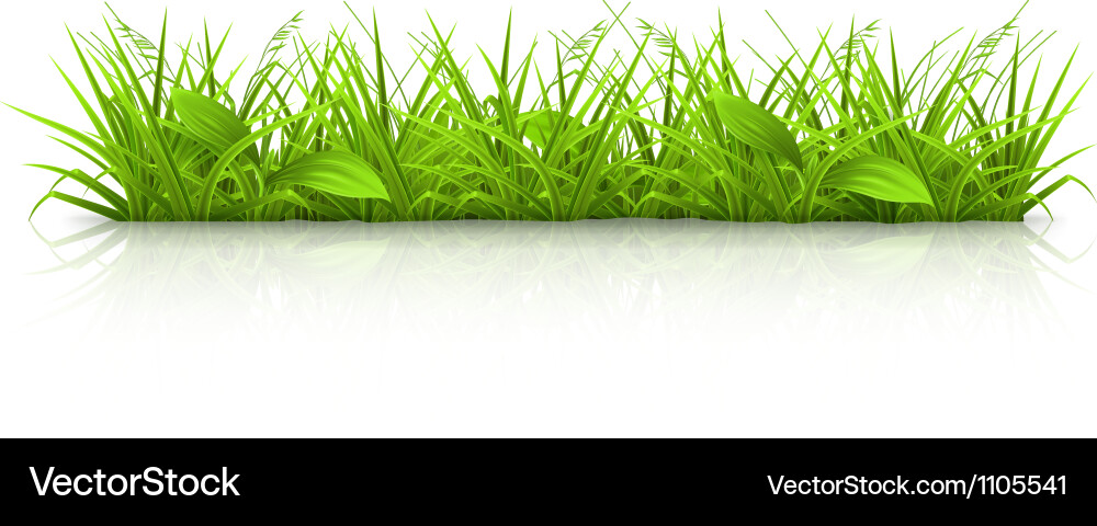 Grass Royalty Free Vector Image - VectorStock