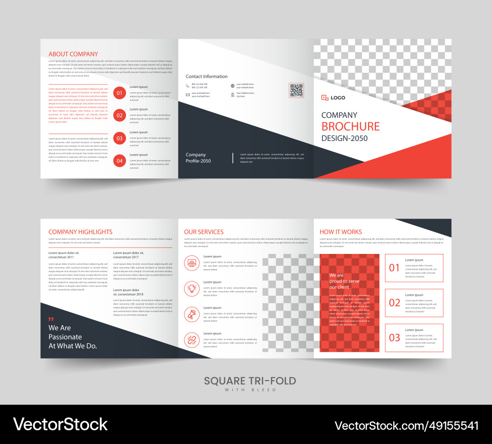 Square trifold brochure company booklet template Vector Image