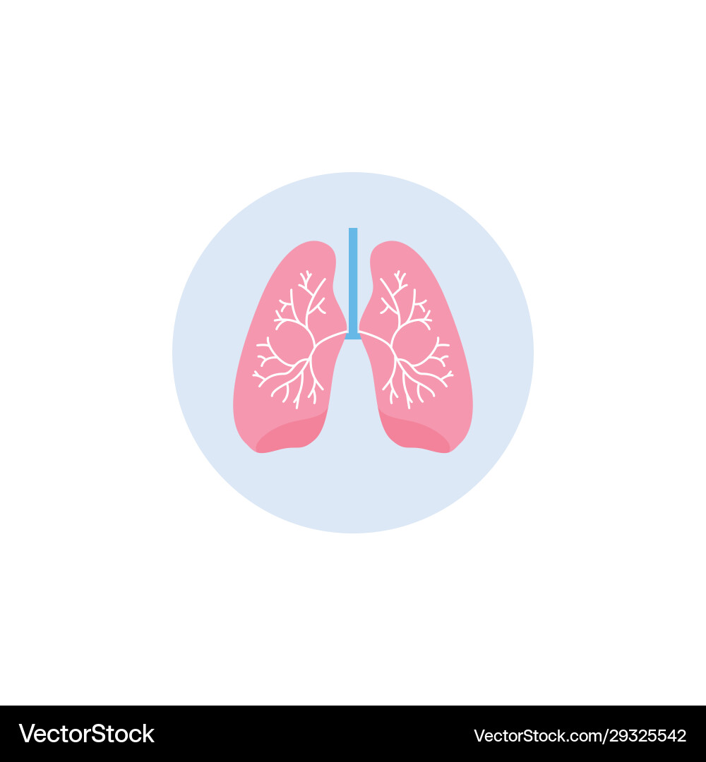 Respiratory system lungs icon in circle flat Vector Image