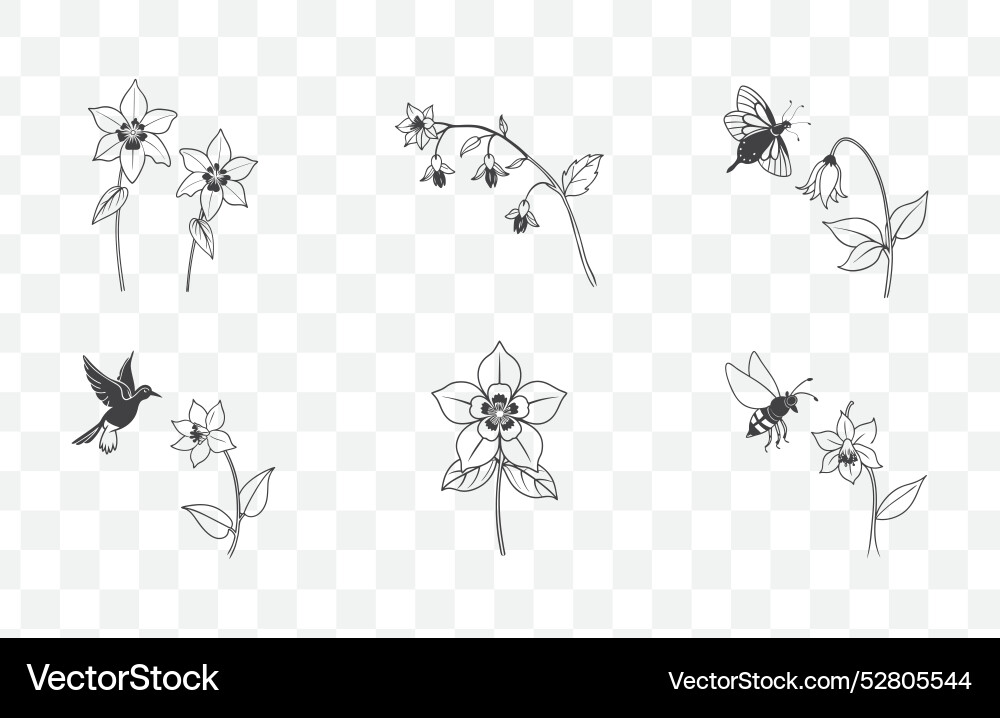 Print columbine flower line art set Royalty Free Vector