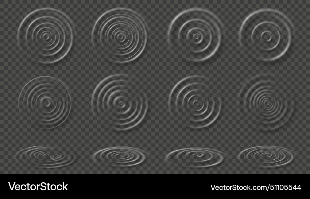 Water ripples transparent ripple waves raindrop Vector Image