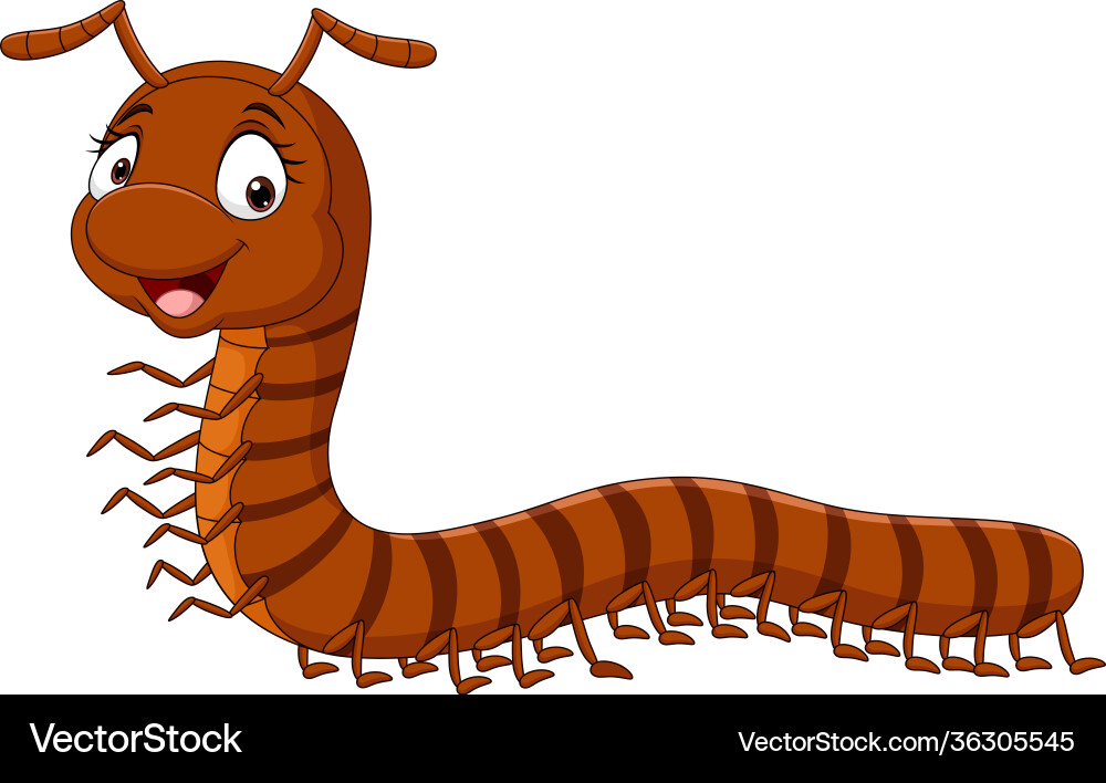Cartoon funny millipede on white background Vector Image