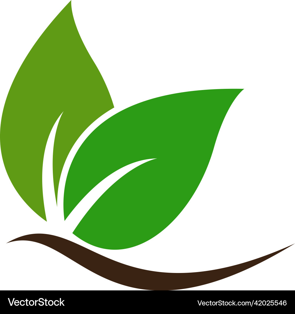 Leaf logo Royalty Free Vector Image - VectorStock