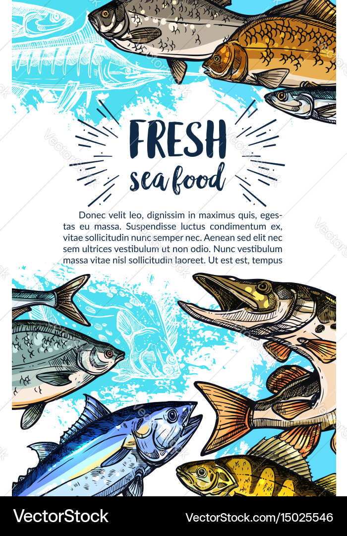 Seafood and freshwater fish sketch banner Vector Image