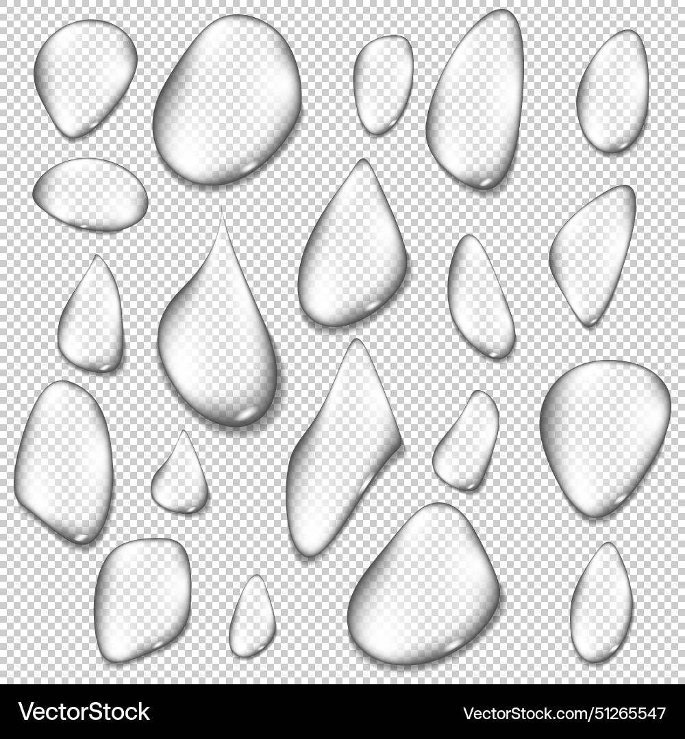 Realistic pure transparent water drop with shadow Vector Image