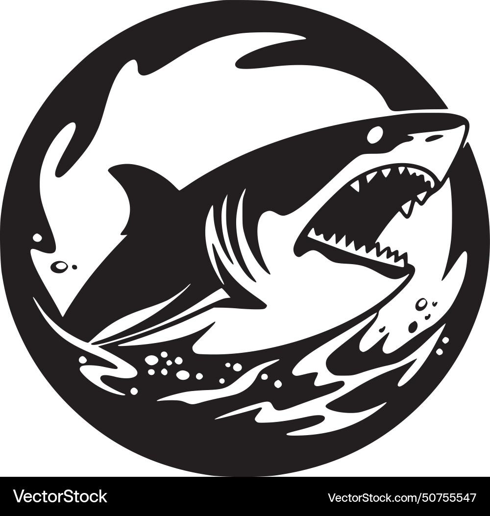 Shark - black and white Royalty Free Vector Image