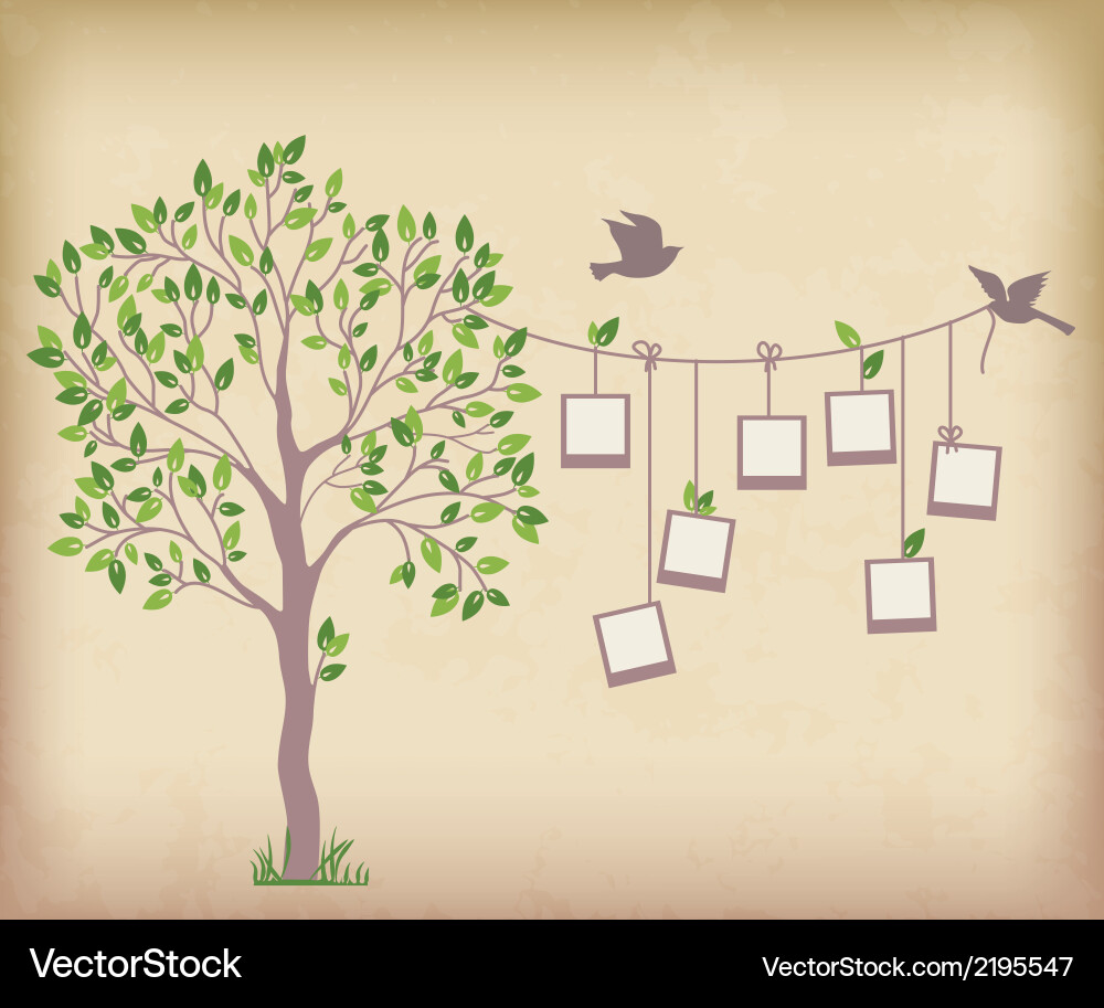 Picture Insert Tree Vector Images (50)