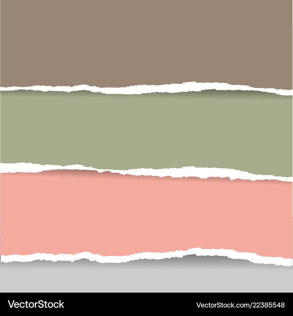 Color torn paper Royalty Free Vector Image - VectorStock