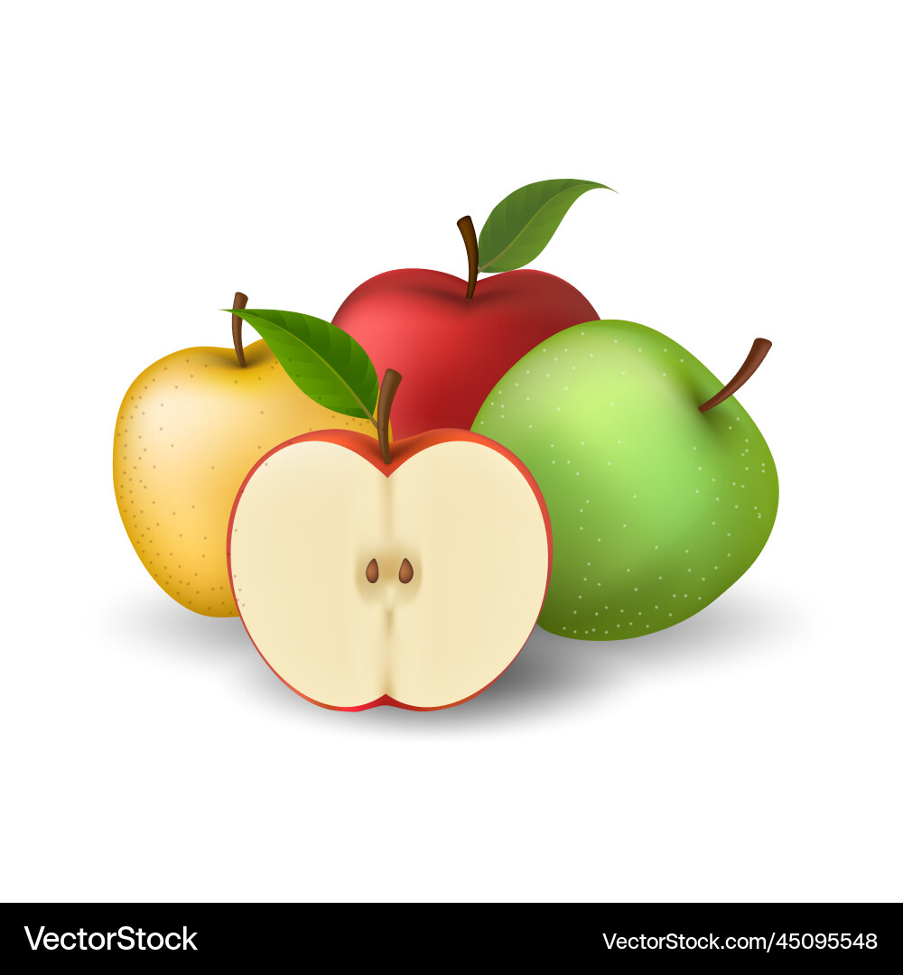 Realistic colorful apples Royalty Free Vector Image