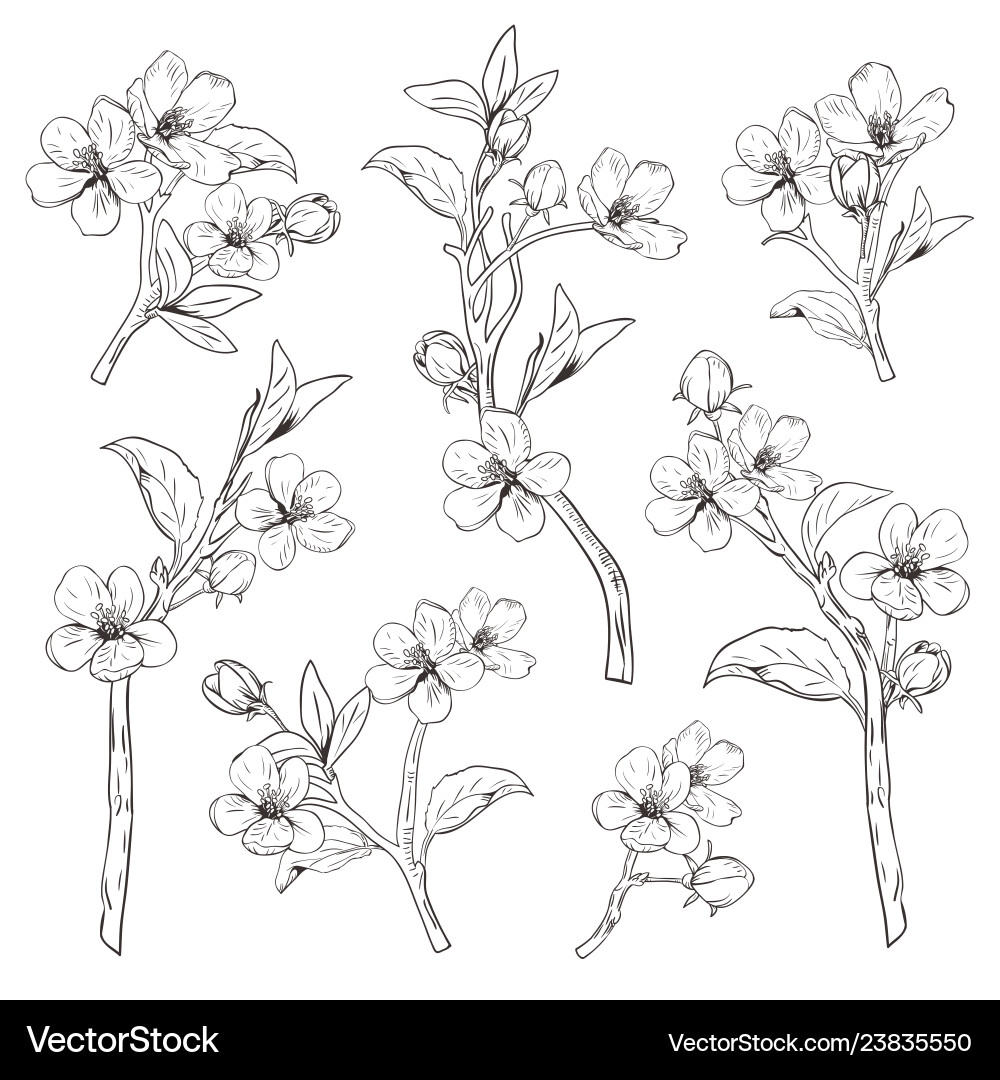 Blooming tree set collection hand drawn Royalty Free Vector