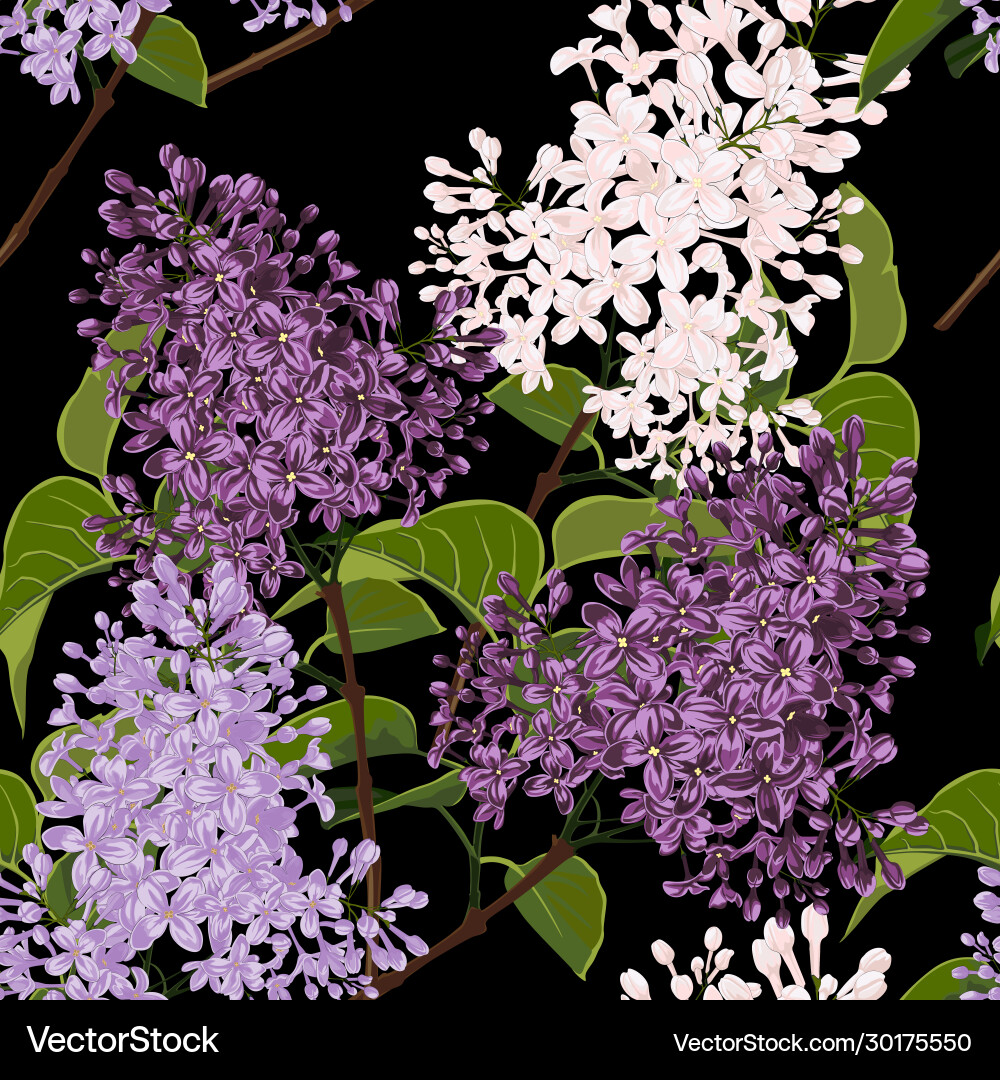 Botanical lilac flowers seamless pattern Vector Image