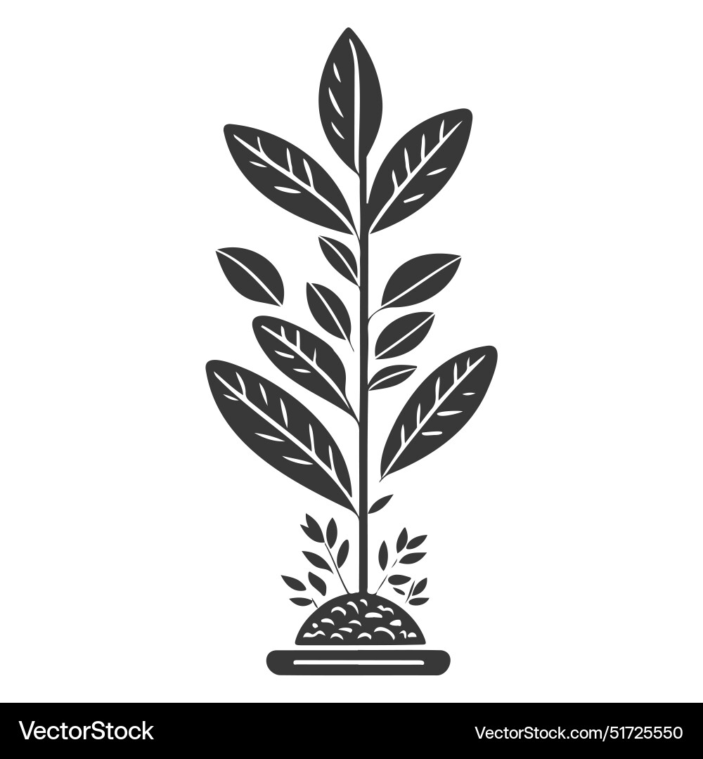 Growth flower floral pot grey Royalty Free Vector Image