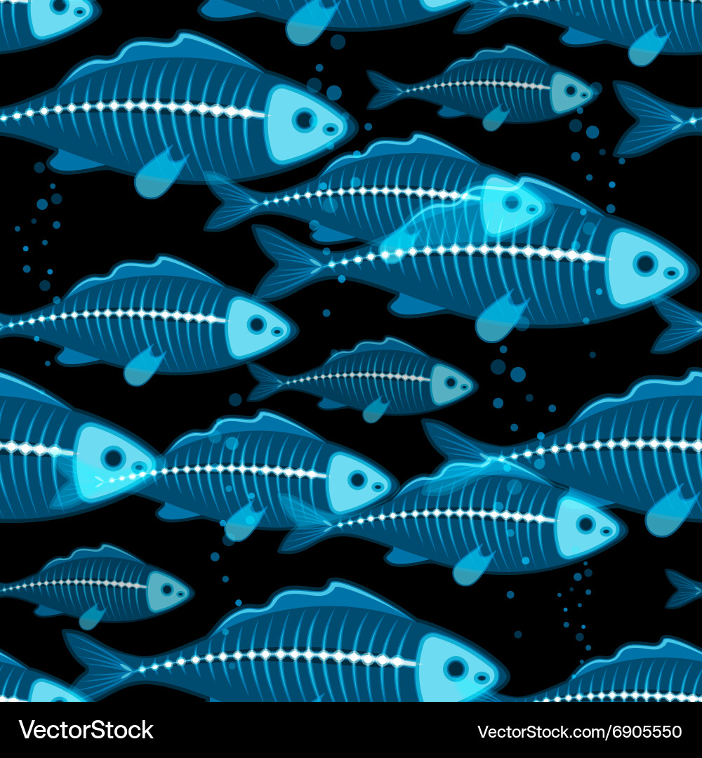 X-ray fish seamless Royalty Free Vector Image - VectorStock