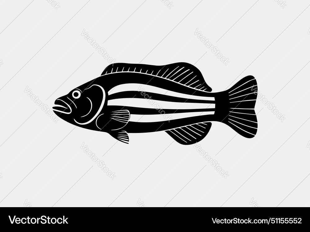 Fish silhouette Royalty Free Vector Image - VectorStock