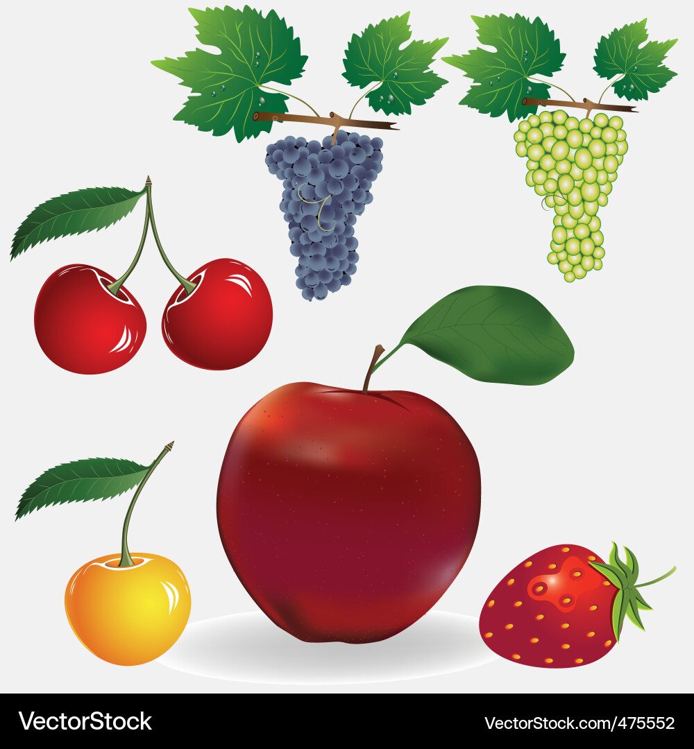 Fruit Royalty Free Vector Image - VectorStock