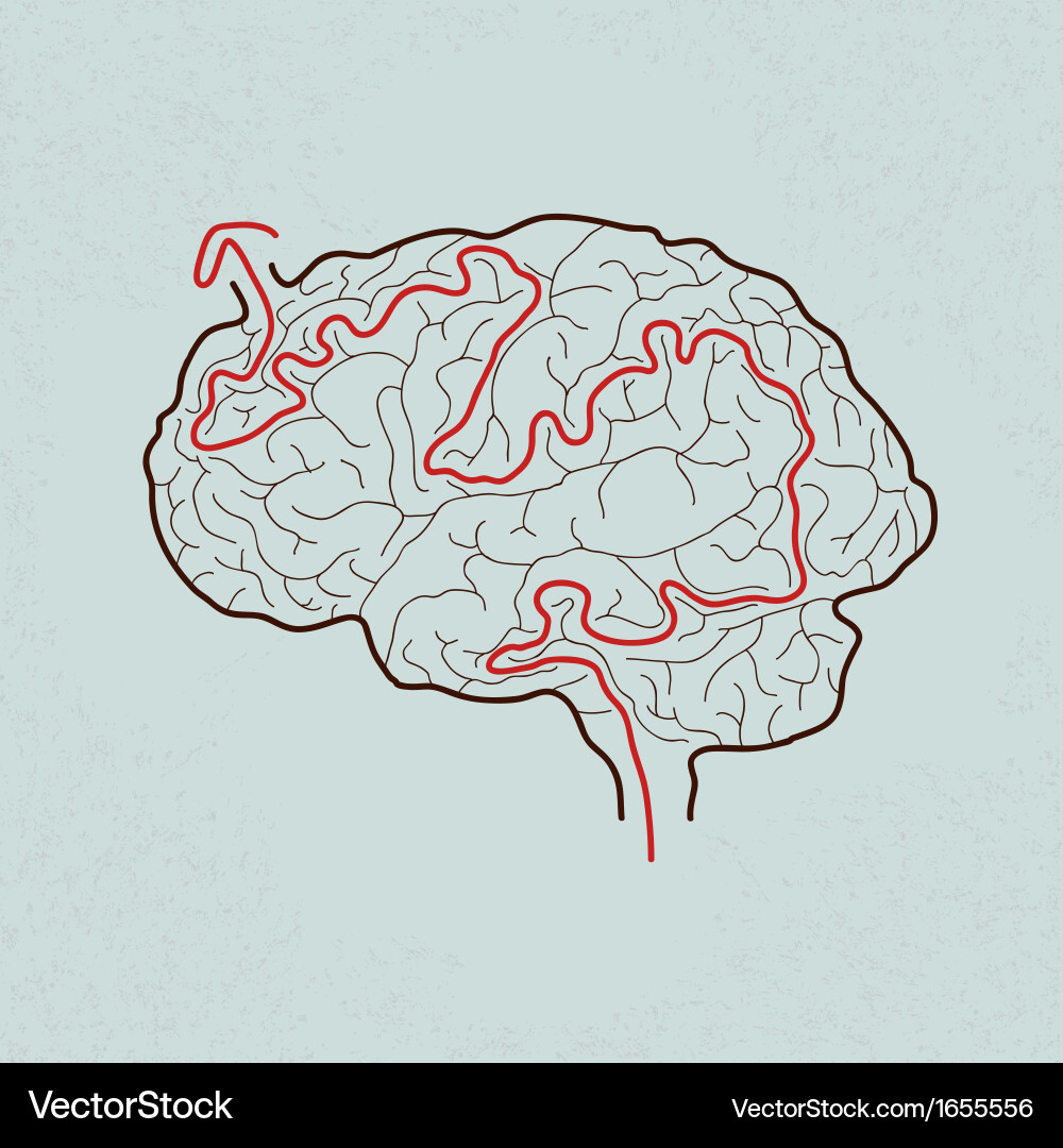 Brain Royalty Free Vector Image - VectorStock