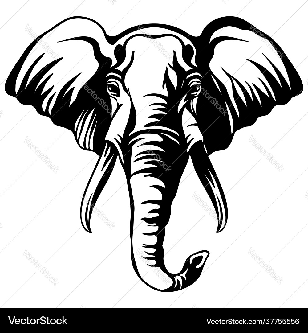 Elephant Head Front Vector Images (over 440)