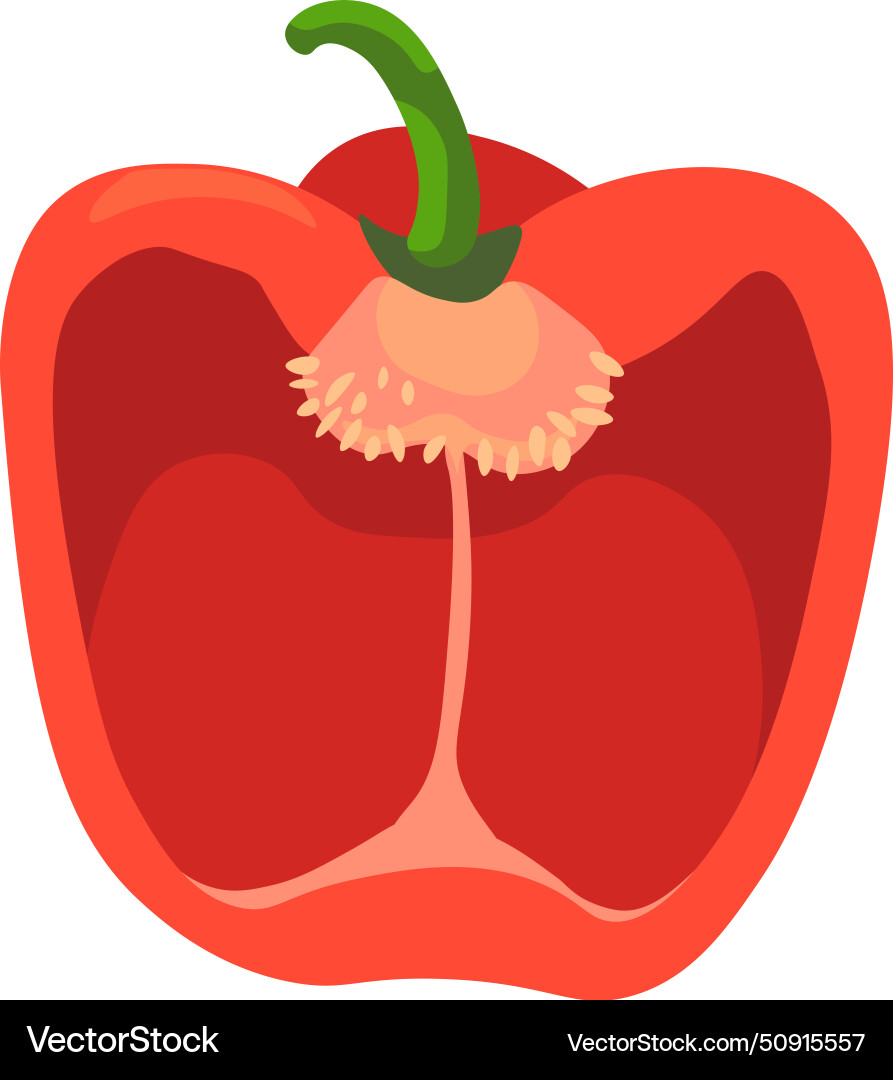 Bell pepper cut in half vegetable organic meal Vector Image