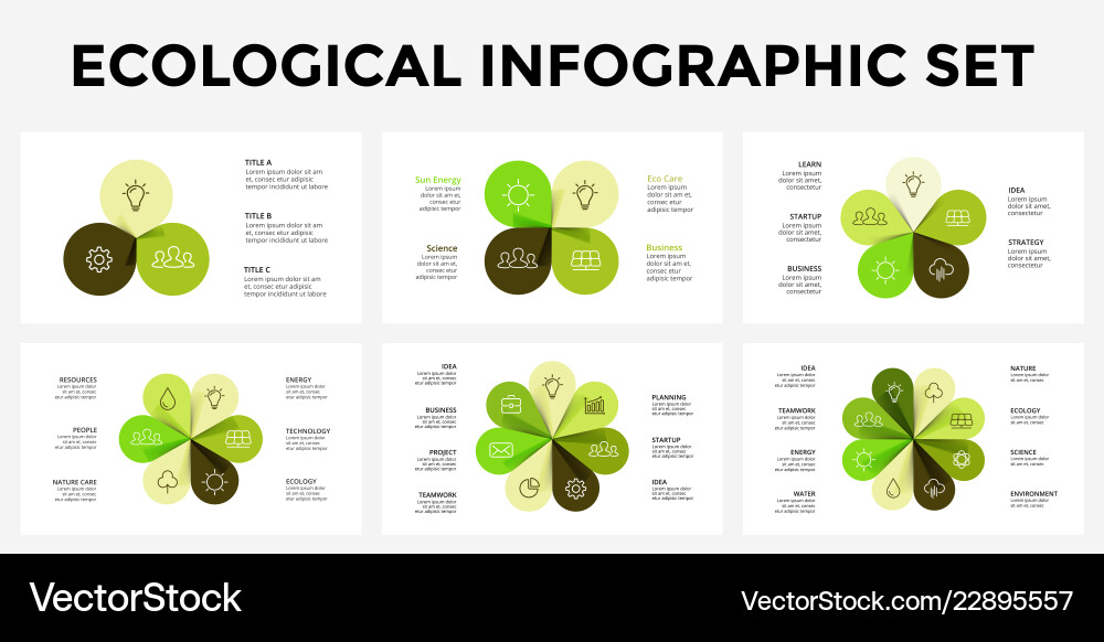 Infographic templates set leaf cycle Royalty Free Vector