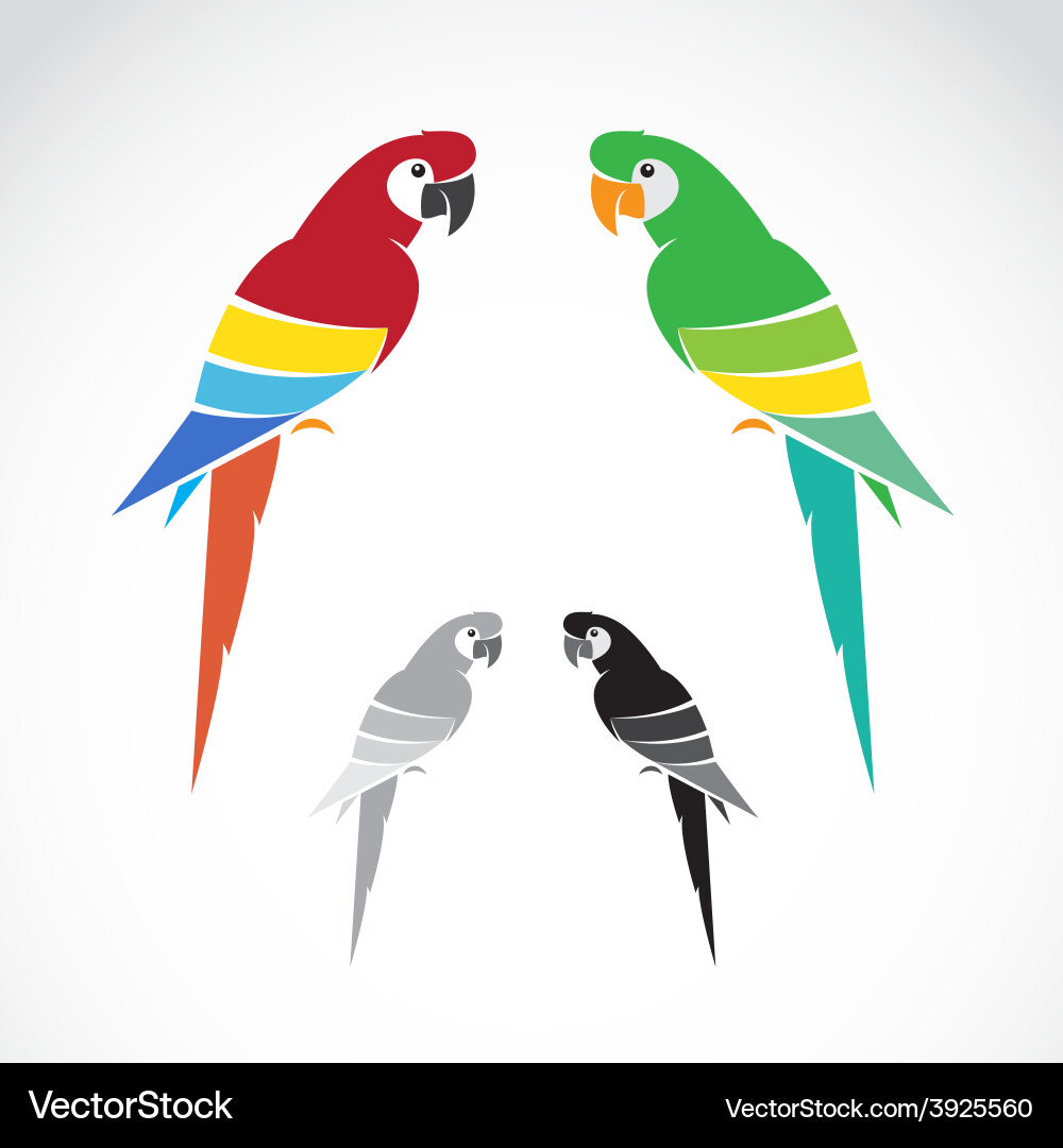 Image of a parrot Royalty Free Vector Image - VectorStock