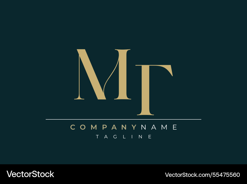 Mt abstract logo design Royalty Free Vector Image