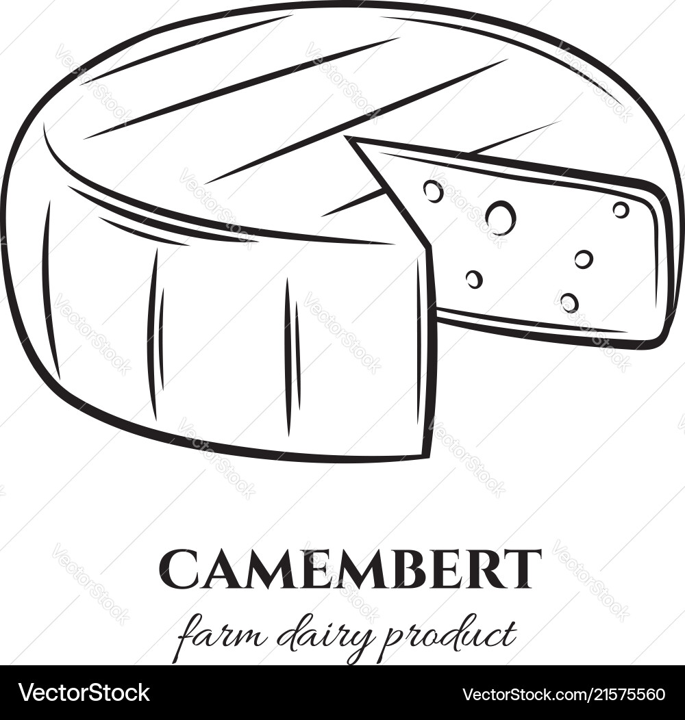 Outline camembert cheese Royalty Free Vector Image
