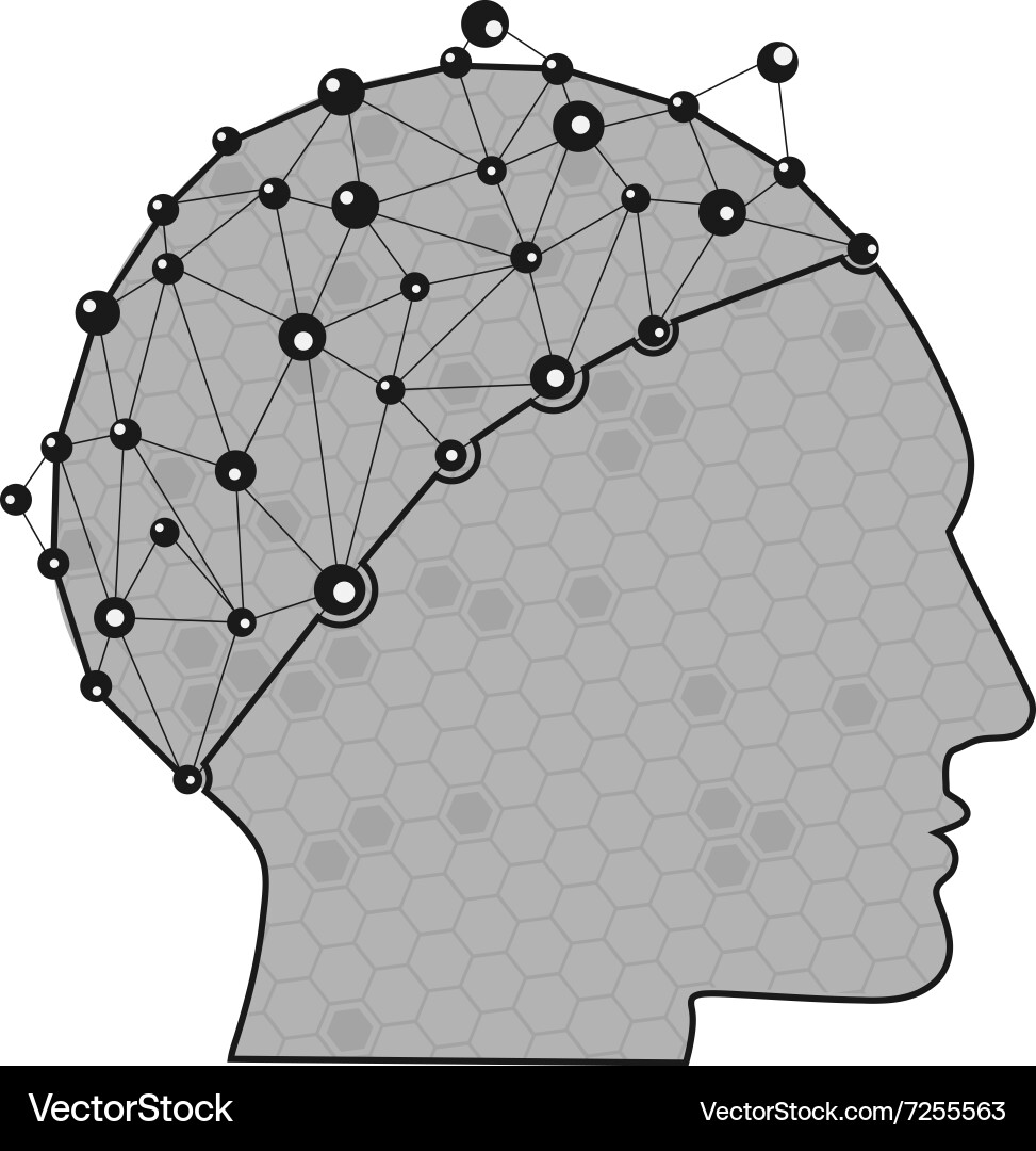 Head preview Royalty Free Vector Image - VectorStock