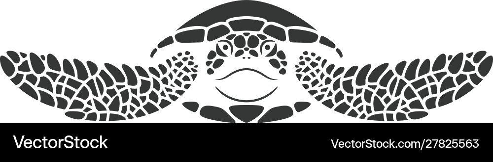 Turtle Royalty Free Vector Image - VectorStock