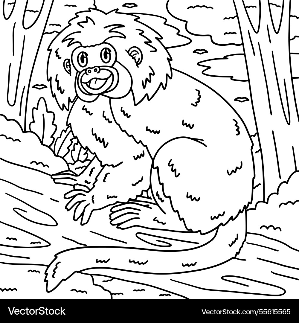 Cotton top tamarin monkey coloring page for kids Vector Image