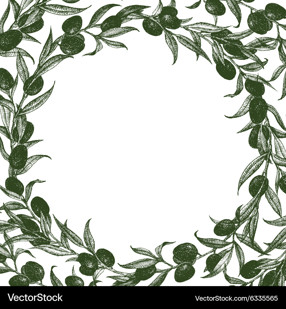 Olive Branch Frame Royalty Free Vector Image - VectorStock