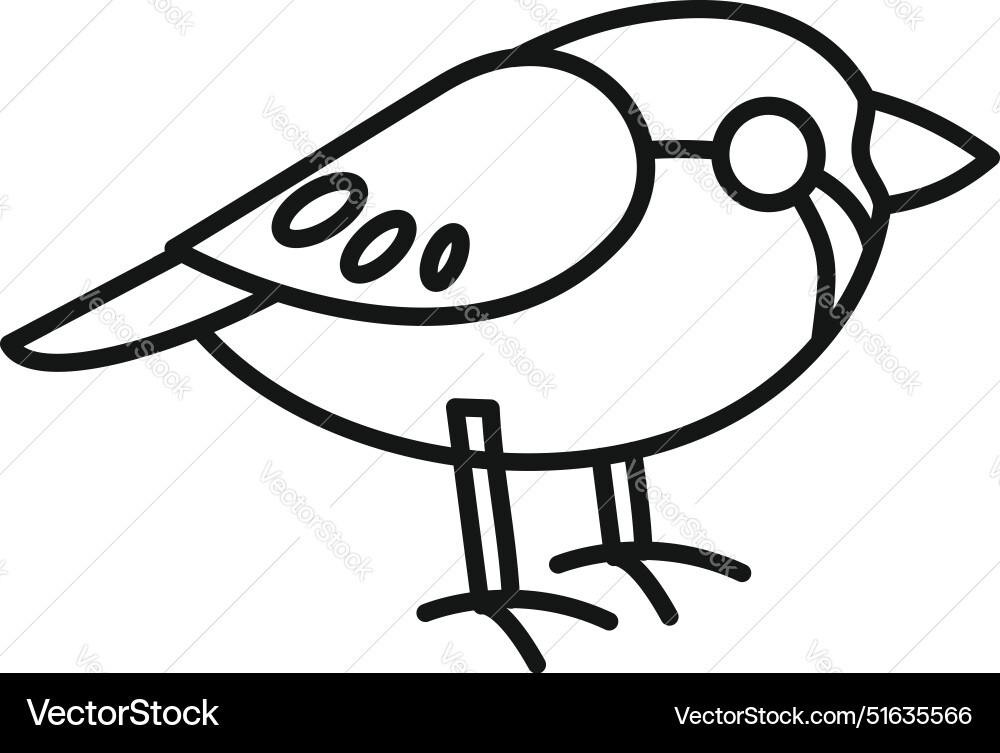 Bird standing on ground with feathers and beak Vector Image