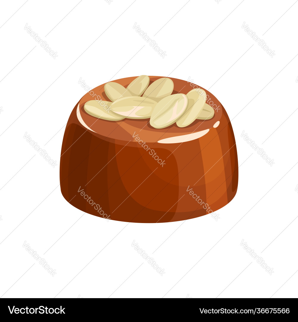Chocolate candy sweet dessert comfit with nuts Vector Image