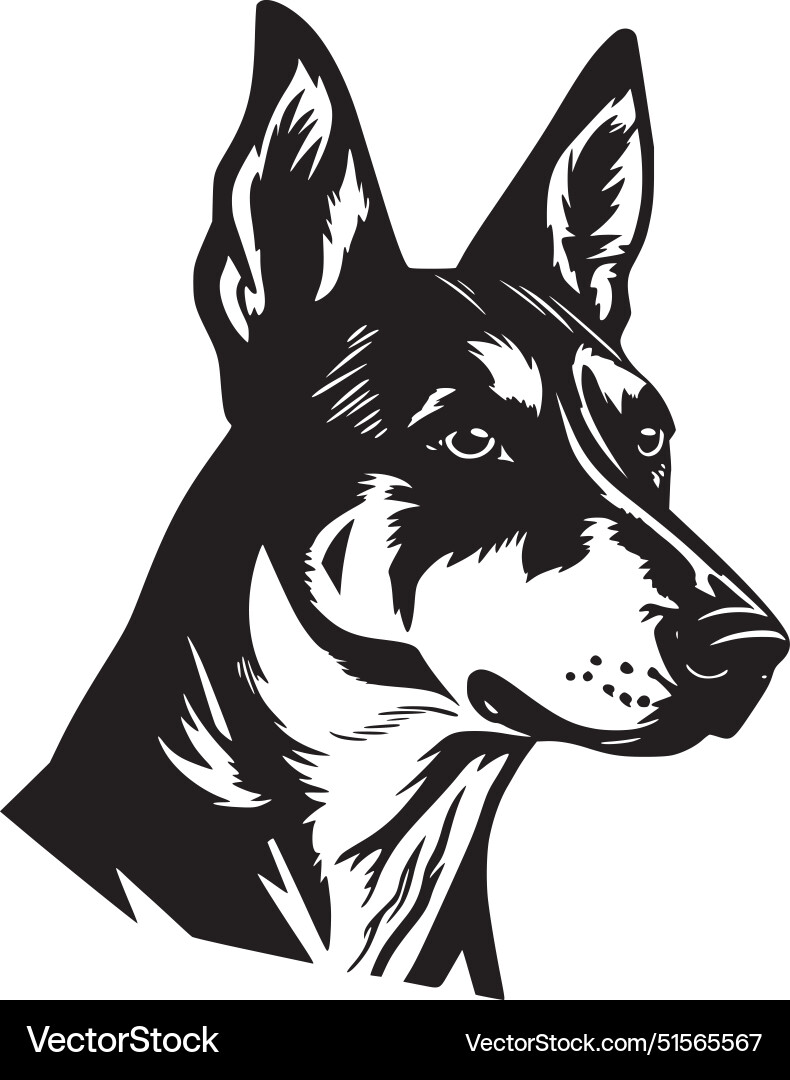 Australian kelpie - black and white isolated icon Vector Image