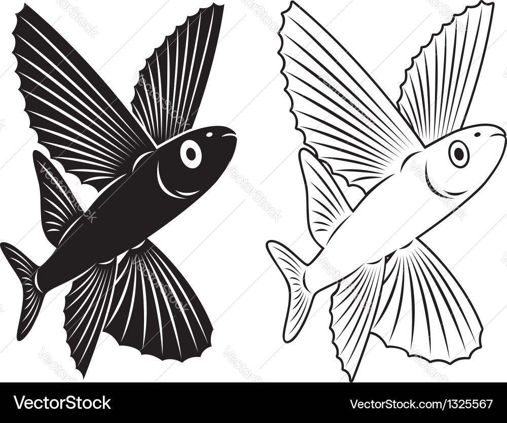 Flying fish Royalty Free Vector Image - VectorStock