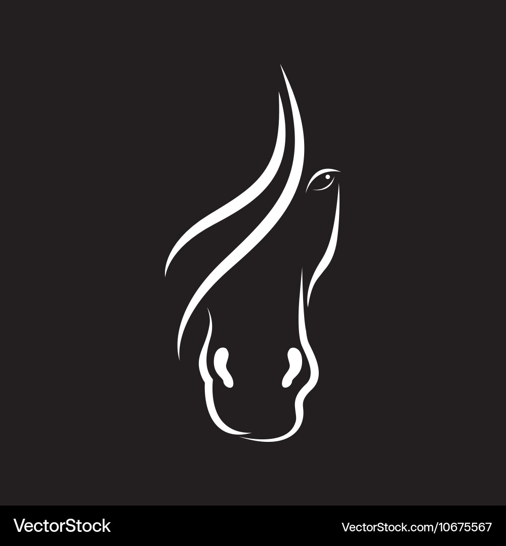Horse face Royalty Free Vector Image - VectorStock