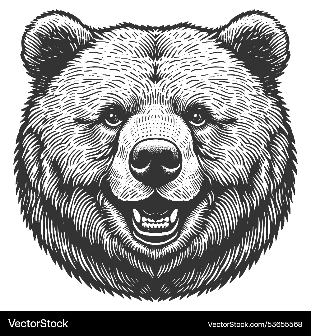 Happy bear face engraving Royalty Free Vector Image