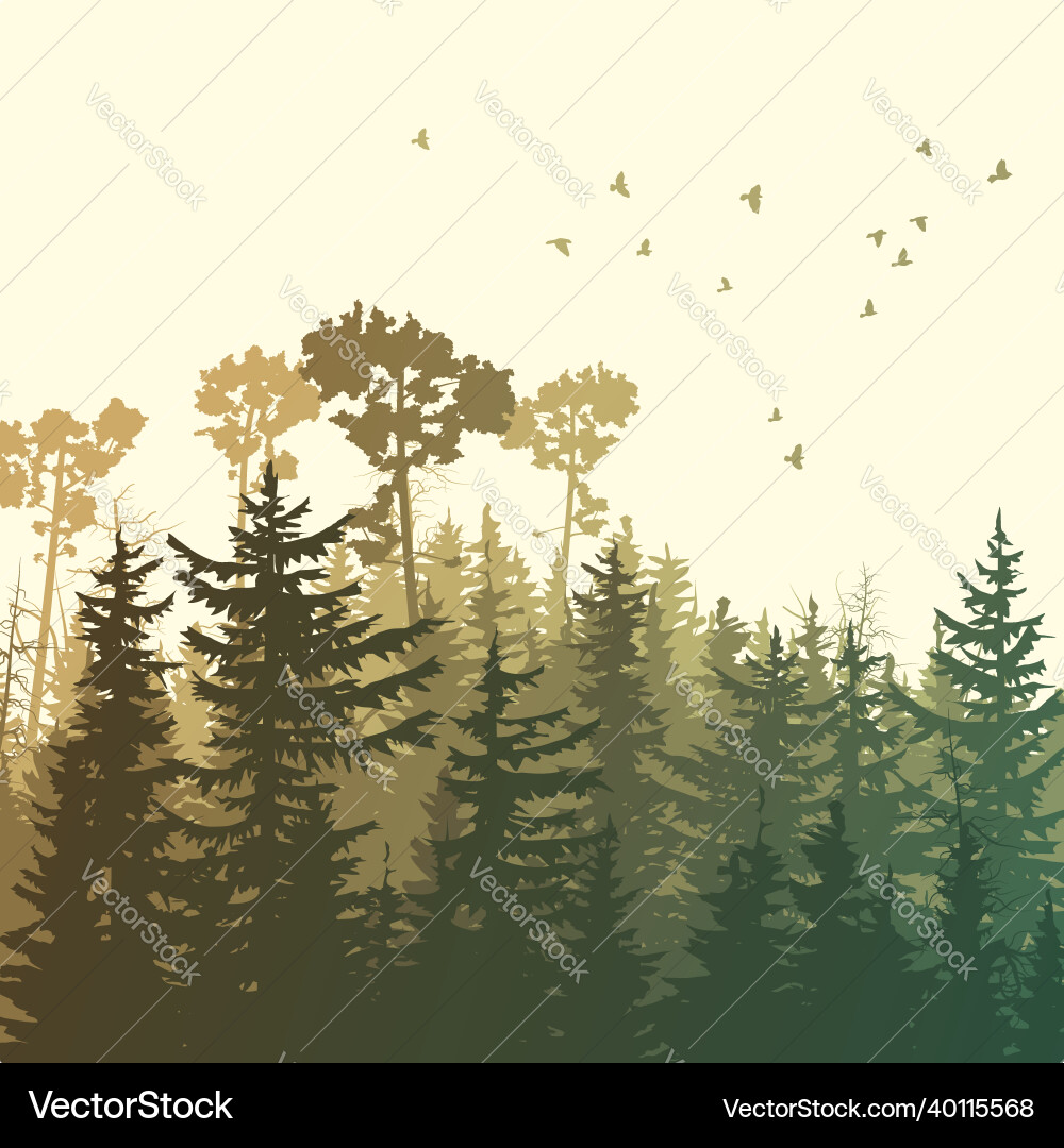 Square of green forest mountains Royalty Free Vector Image