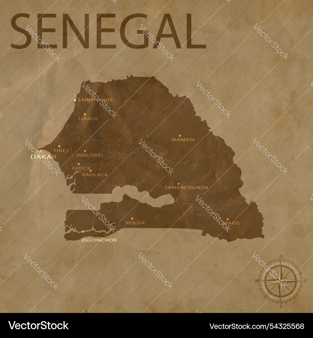 Vintage senegal map with regions borders Vector Image