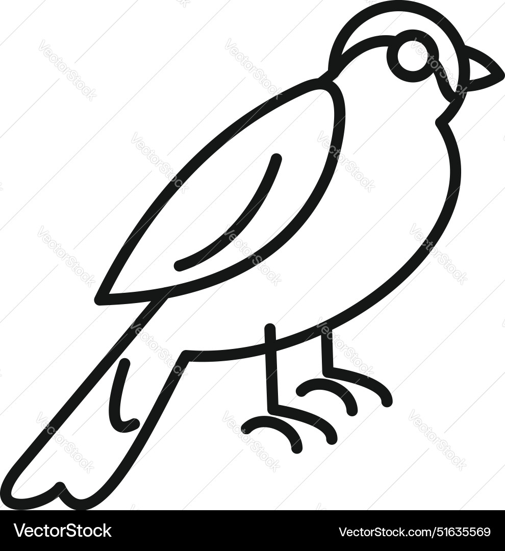 Small bird standing on the ground drawing Vector Image