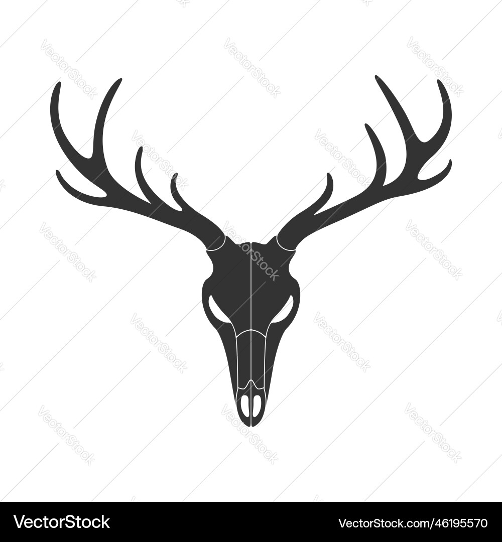 Deer skull Royalty Free Vector Image - VectorStock