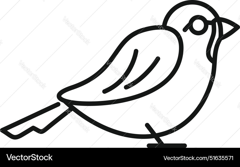 Simple line drawing of a bird standing on white Vector Image