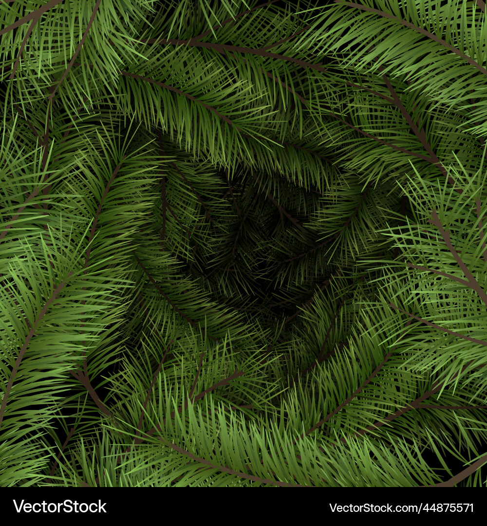 Spruce Green Branch Background - Depth Effect Vector Image