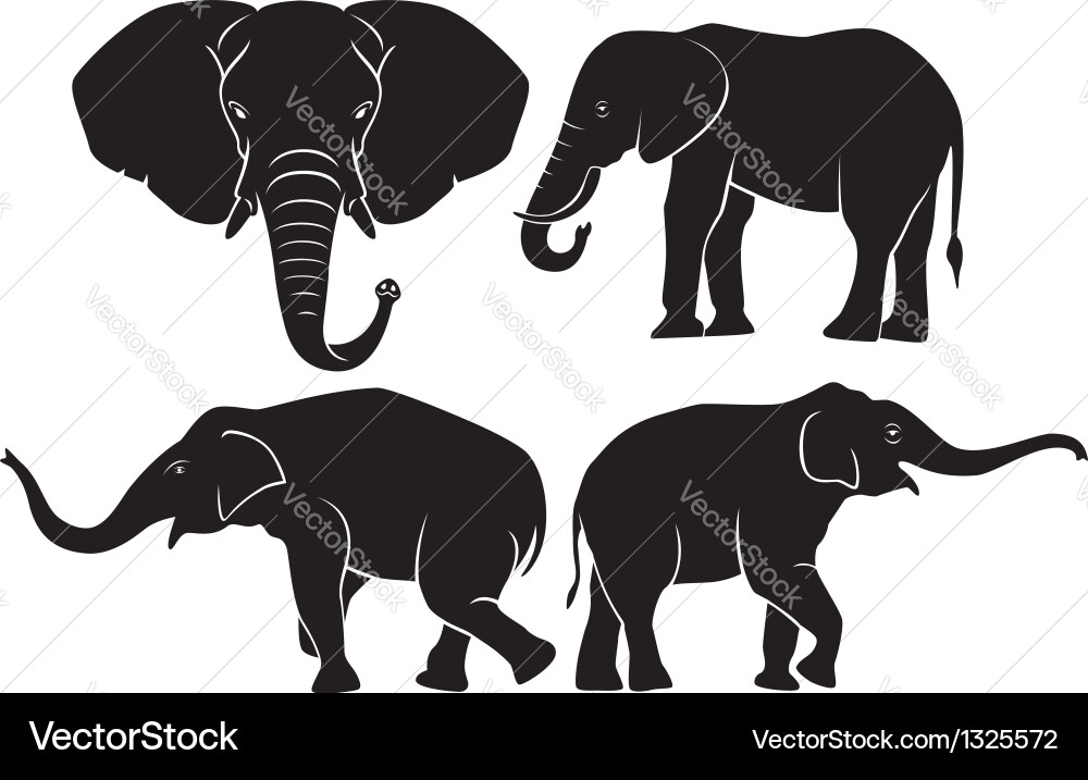Elephant Royalty Free Vector Image - VectorStock