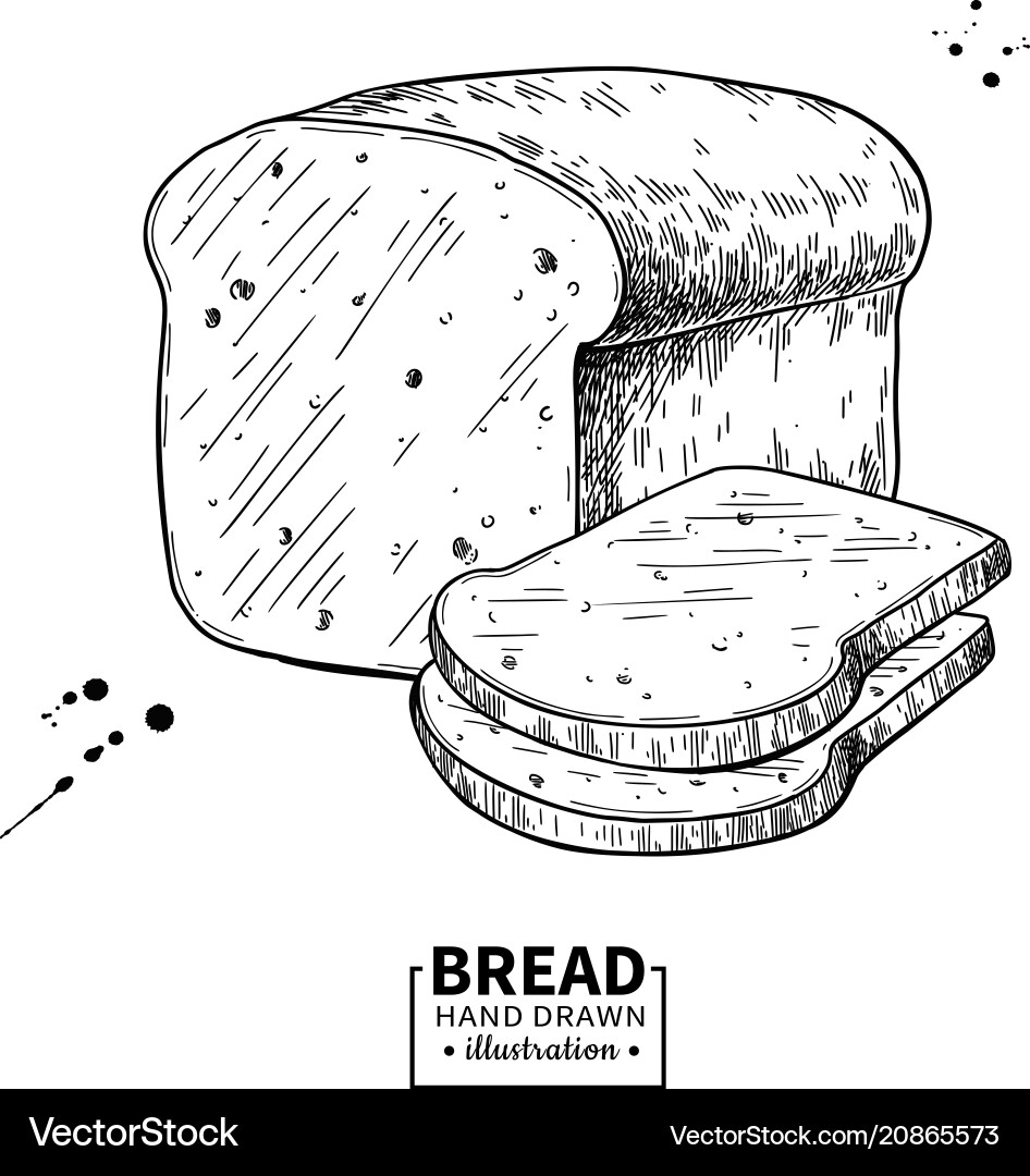 Bread drawing bakery product sketch Royalty Free Vector