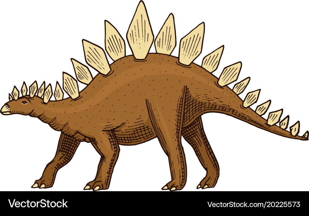 Dinosaur stegosaurus fossils prehistoric Vector Image